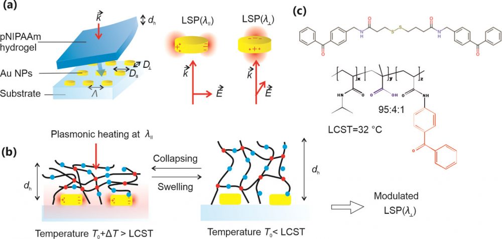 NEW Case Study on Rapid Transitions of Thermo-Responsive Polymer ...